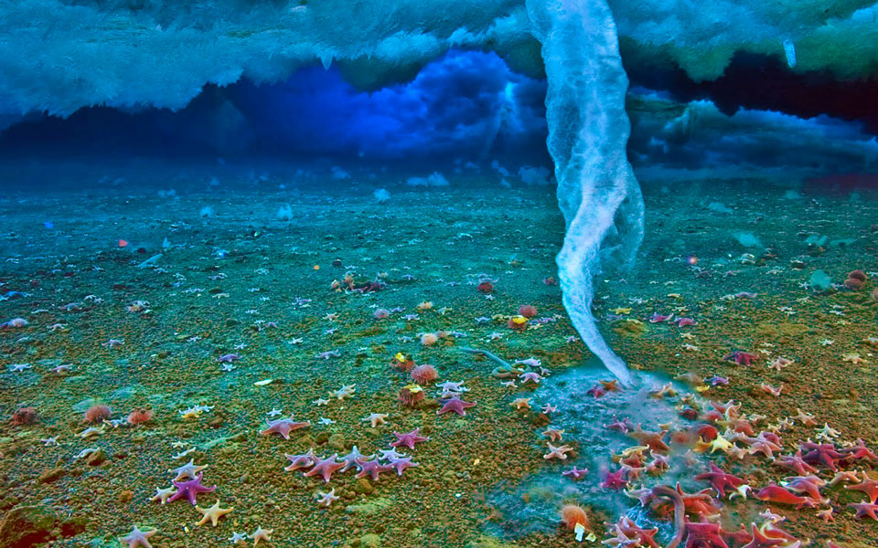 The most amazing natural phenomena of winter